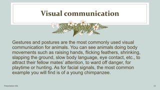 Non-Human Communication | PPTX