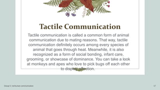 Non-Human Communication | PPTX