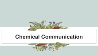 Non-Human Communication | PPTX