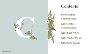 Non-Human Communication | PPTX