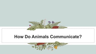 Non-Human Communication | PPTX