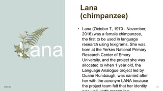 Non-Human Communication | PPTX