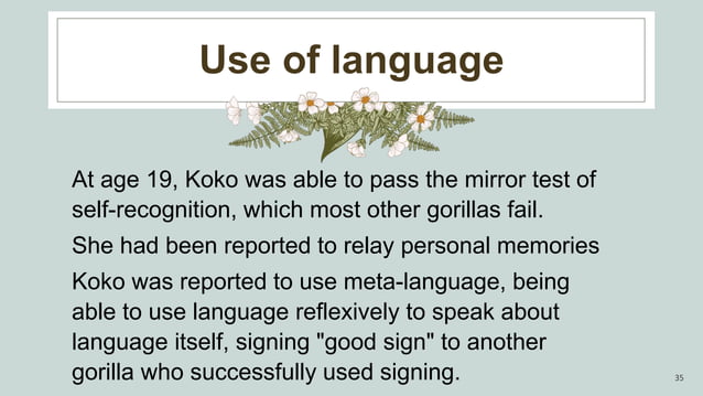 Non-Human Communication | PPTX | Dogs | Pets