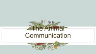 Non-Human Communication | PPTX