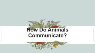 Non-Human Communication | PPTX