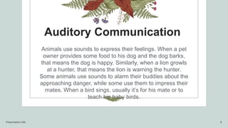 Non-Human Communication | PPTX