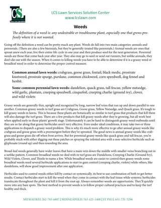 Weeds by LCS Lawn Service | PDF | Gardening | Home & Garden