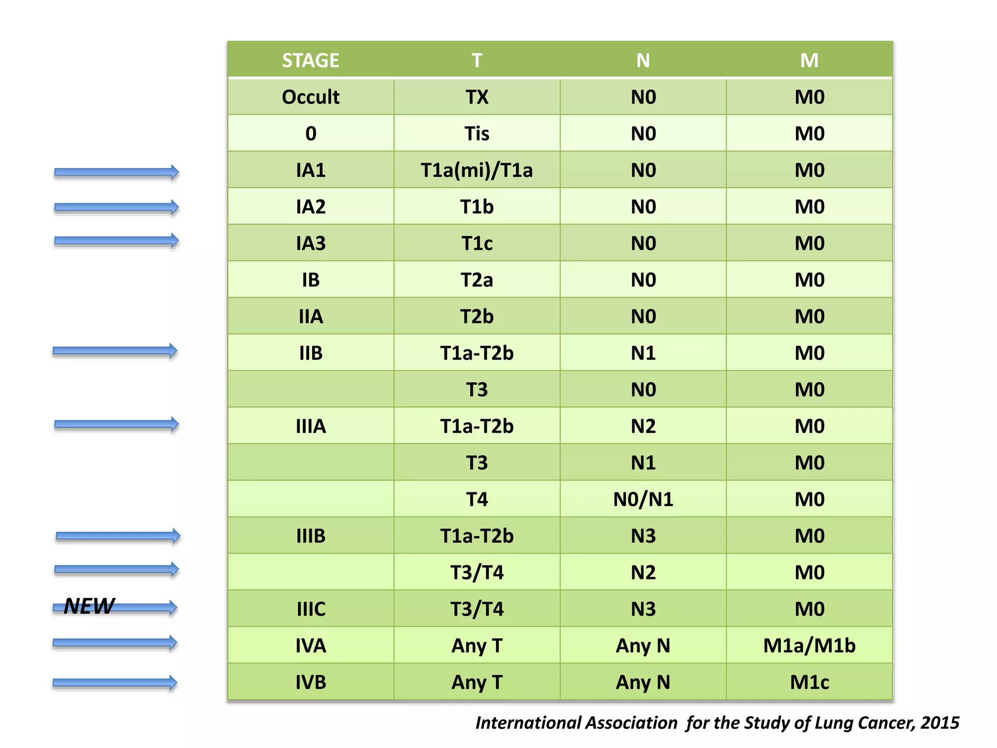 8th Edition of the TNM Classification for Lung Cancer | PPTX