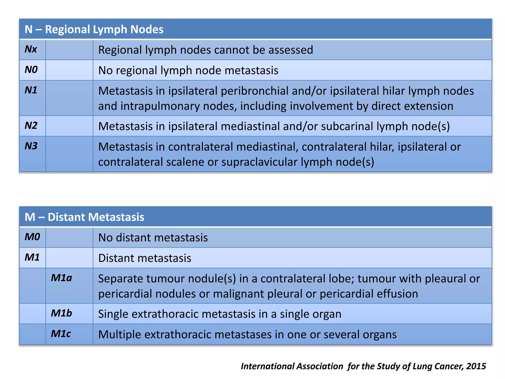 8th Edition of the TNM Classification for Lung Cancer | PPTX