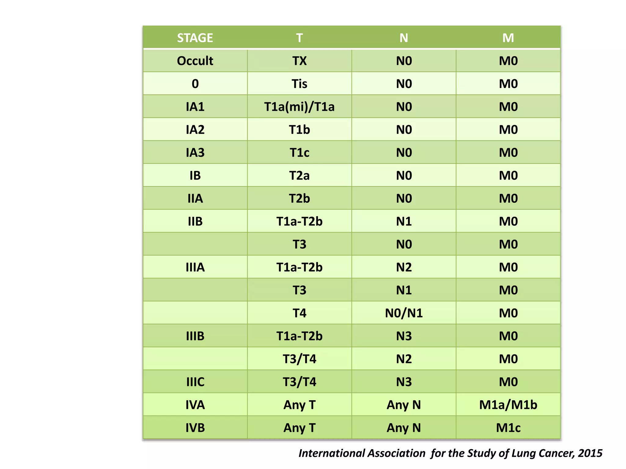 8th Edition of the TNM Classification for Lung Cancer | PPTX