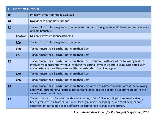 8th Edition of the TNM Classification for Lung Cancer | PPTX | Lung and ...