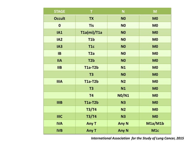 8th Edition of the TNM Classification for Lung Cancer | PPTX | Lung and ...