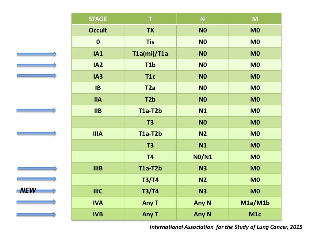 8th Edition of the TNM Classification for Lung Cancer