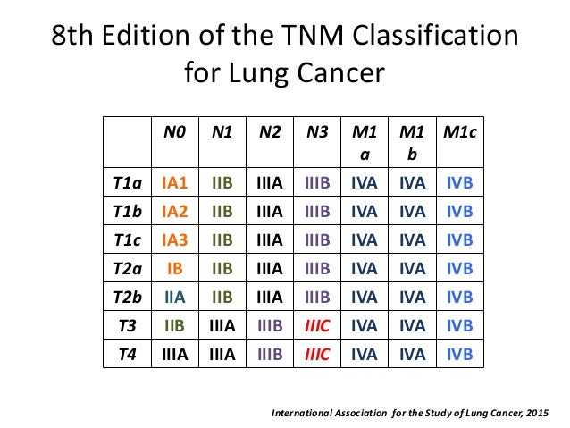 8th Edition Of The Tnm Classification For Lung Cancer