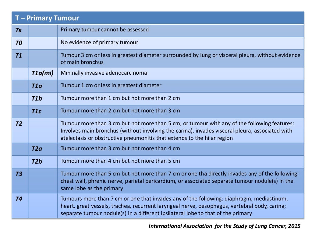 8th Edition of the TNM Classification for Lung Cancer