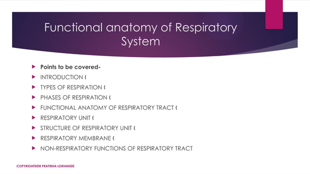 PHYSIOLOGY OF RESPIRATORY SYSTEM- FUCTIONAL ANATOMY OF RESPIRATORY ...