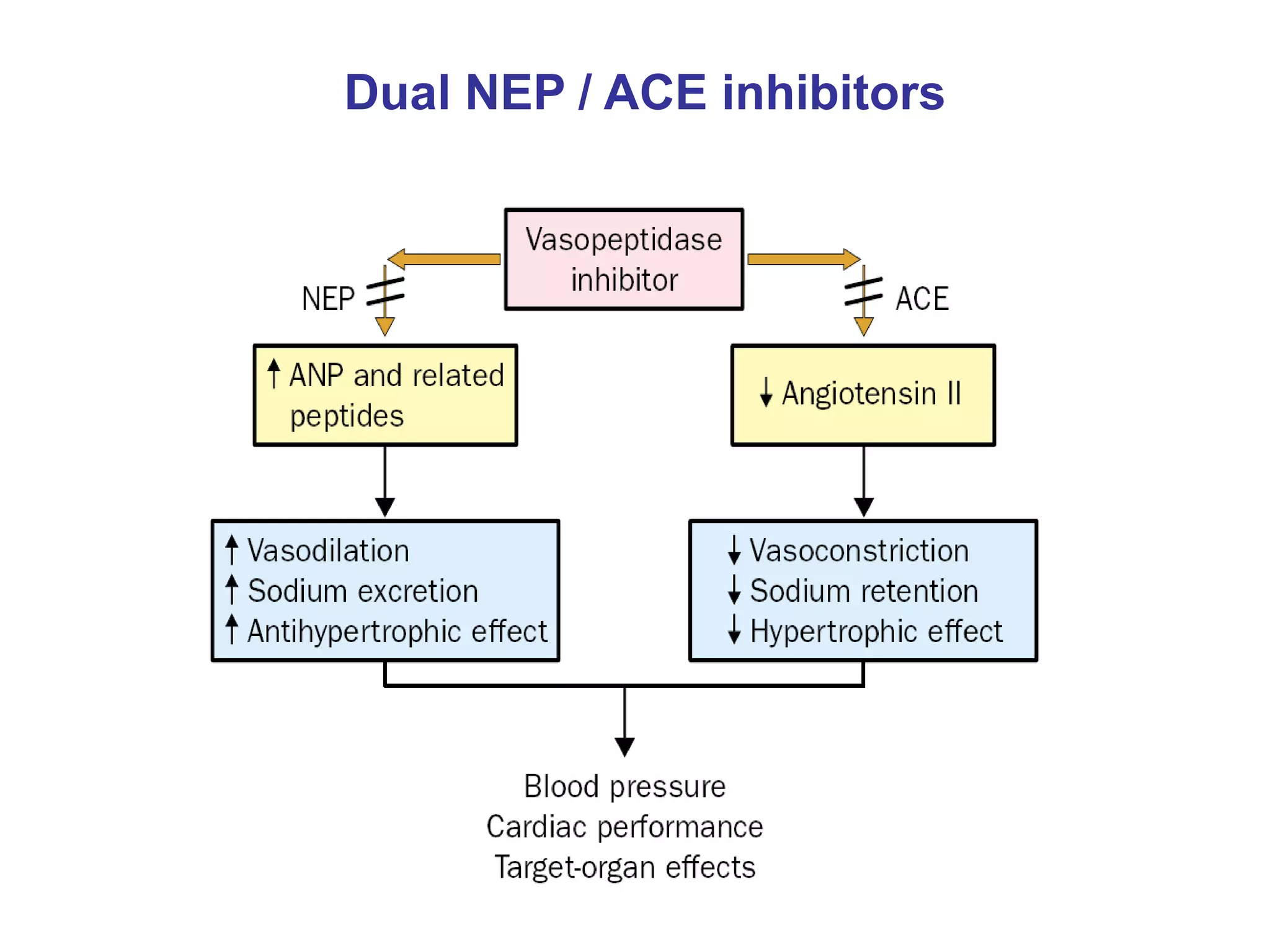 Angiotensin Receptor Neprilysin + Valsartan | PPTX | Heart and ...