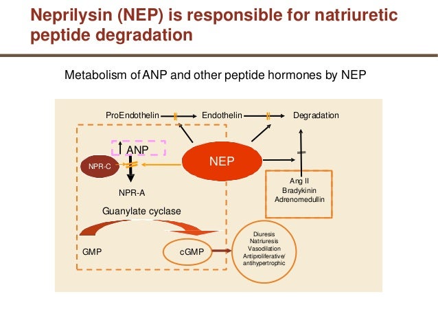 Angiotensin Receptor Neprilysin + Valsartan