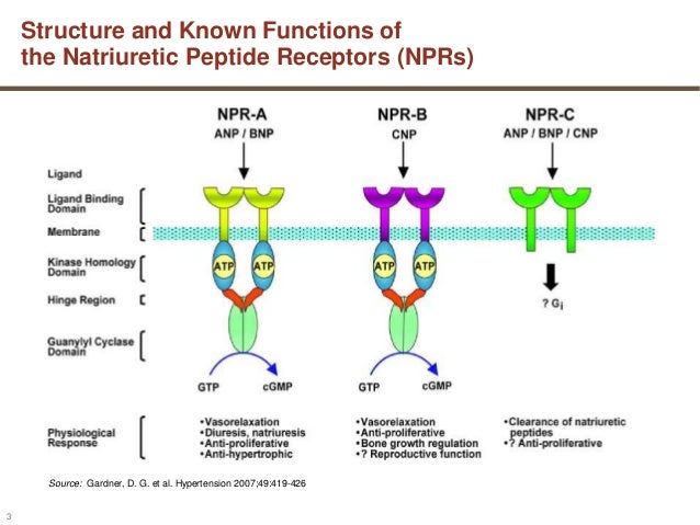 Angiotensin Receptor Neprilysin + Valsartan