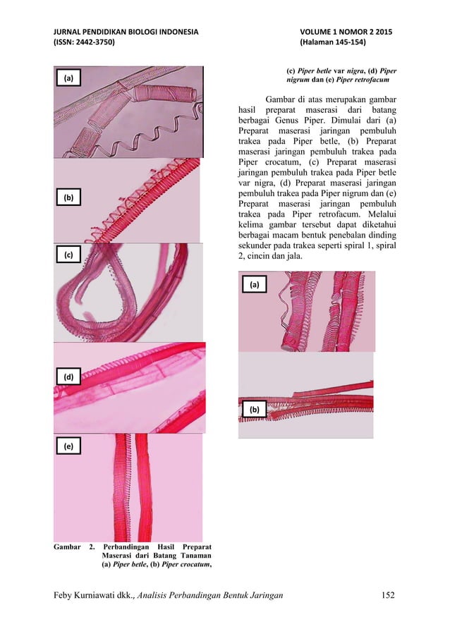 118587-ID-analisis-perbandingan-bentuk-jaringan-pe.pdf