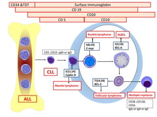 Lymphoproliferative disorders (lecture) | PPTX