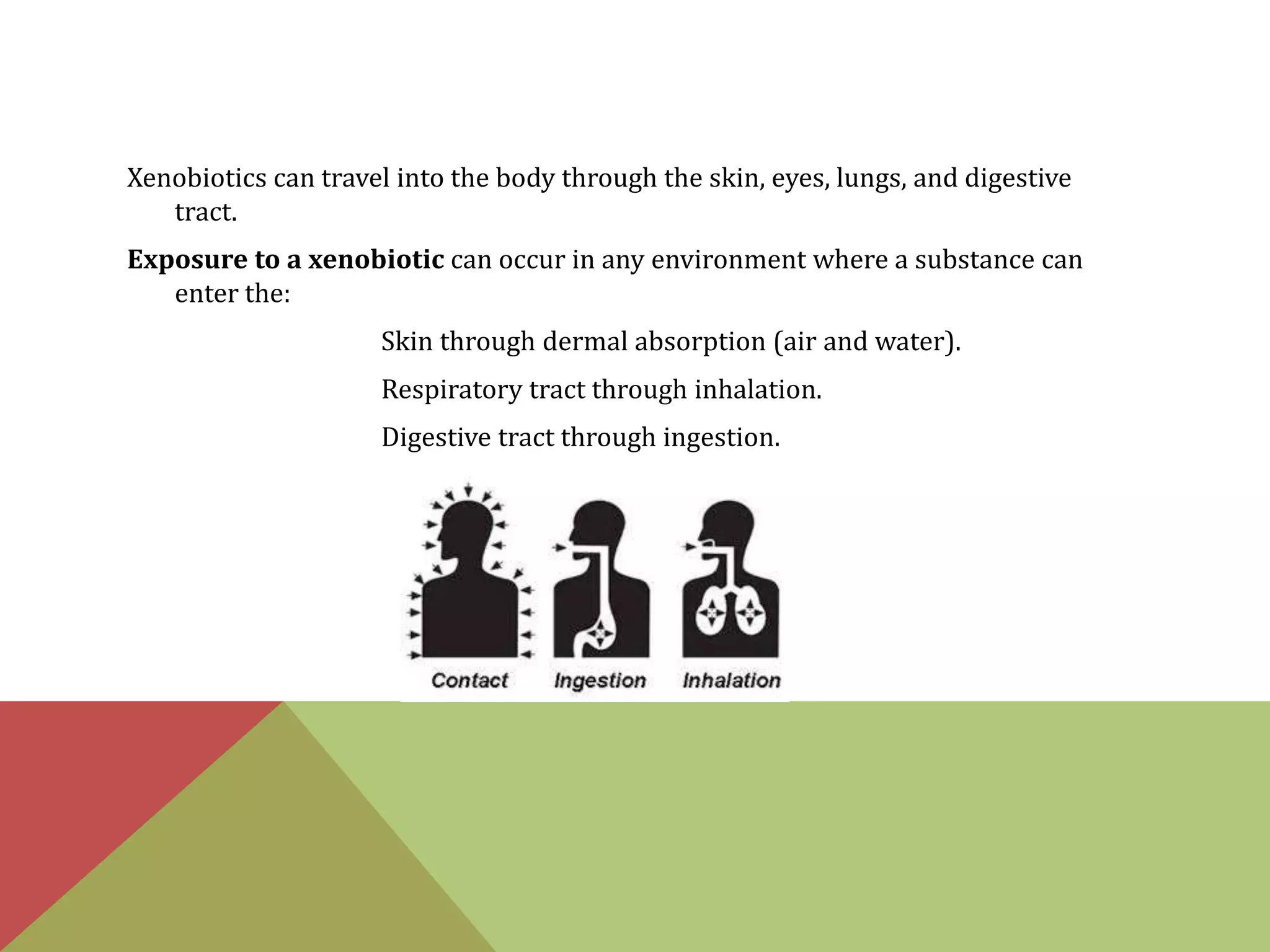 DRUG RESPONSE LD50, ED50 AND THERAPEUTIC INDEX- | PPTX