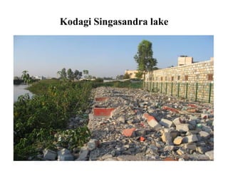 Lake Development Authority_CEO | PPT | Free Download