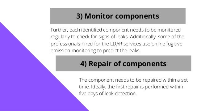 Significant Elements of LDAR Process | PDF