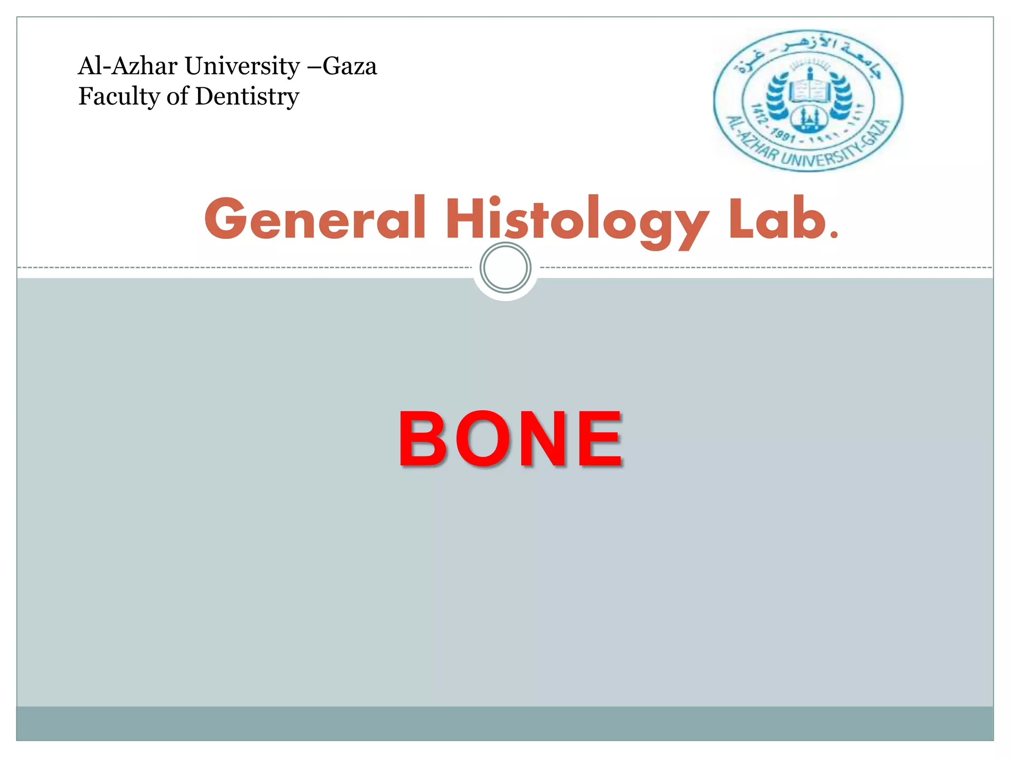 Bone pic. | PPTX