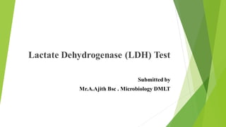 LDH Blood Test | PDF