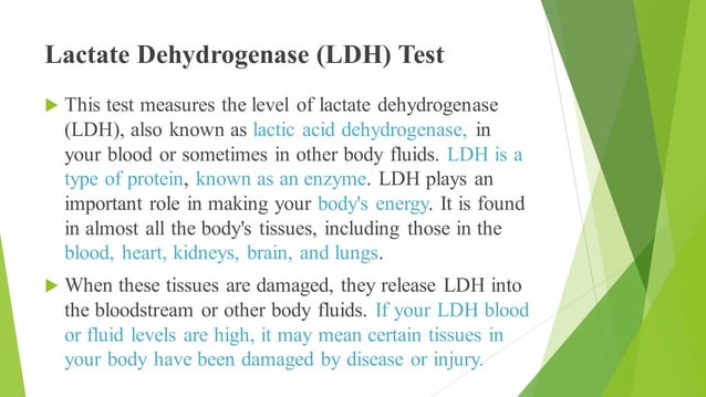 LDH Blood Test | PDF