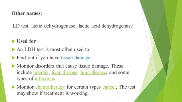 LDH Blood Test | PDF