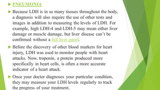 LDH Blood Test | PDF