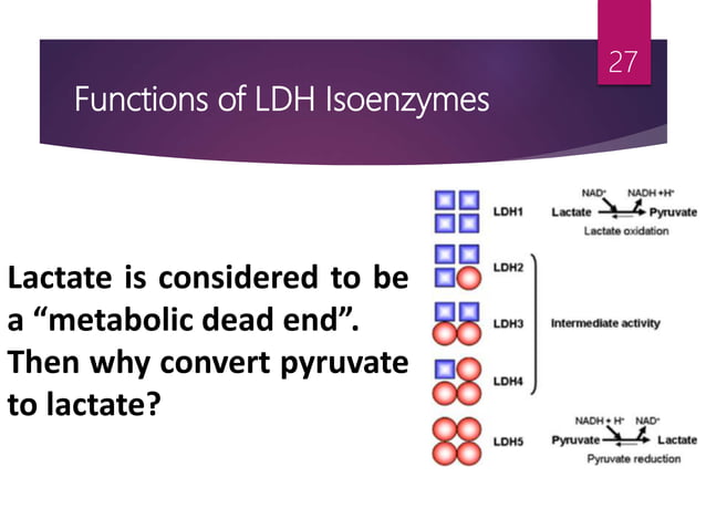 Electrophoresis of LDH Isoenzymes and Activity Staining | PPTX