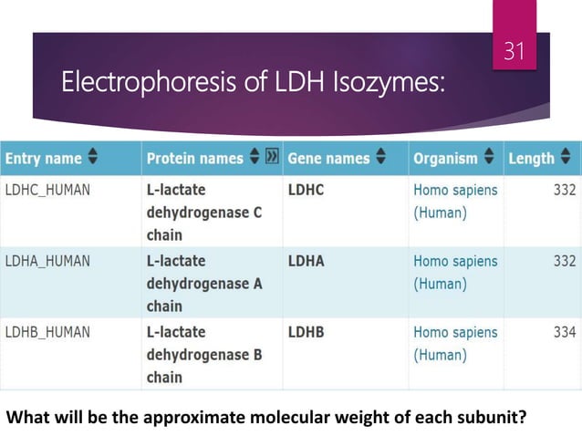 Electrophoresis of LDH Isoenzymes and Activity Staining | PPTX