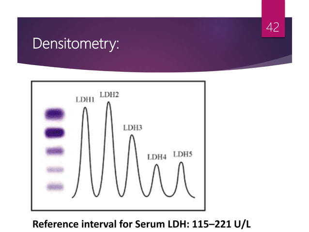 Electrophoresis of LDH Isoenzymes and Activity Staining | PPTX