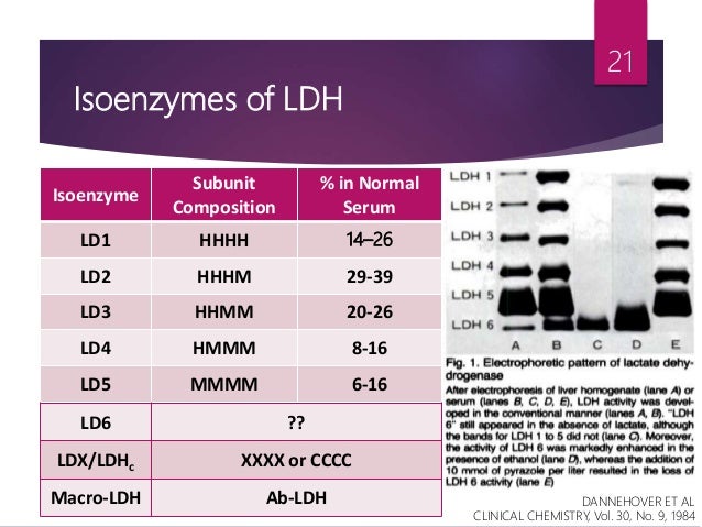 Electrophoresis of LDH Isoenzymes and Activity Staining