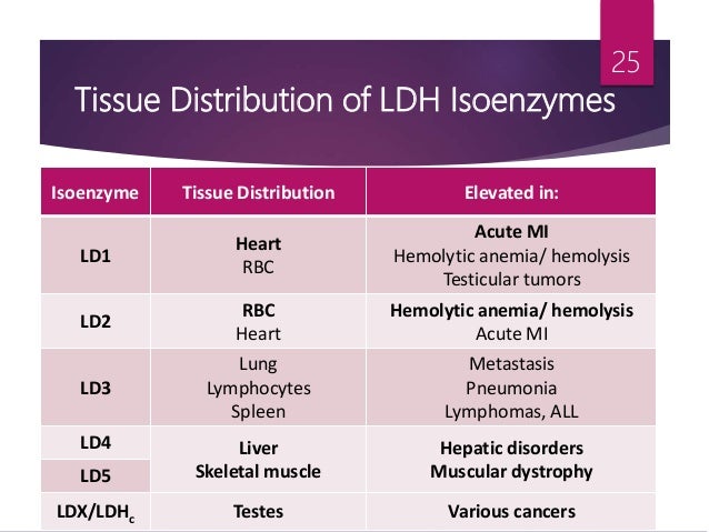 Electrophoresis of LDH Isoenzymes and Activity Staining