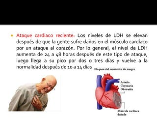 Ldh y cpk | PPTX