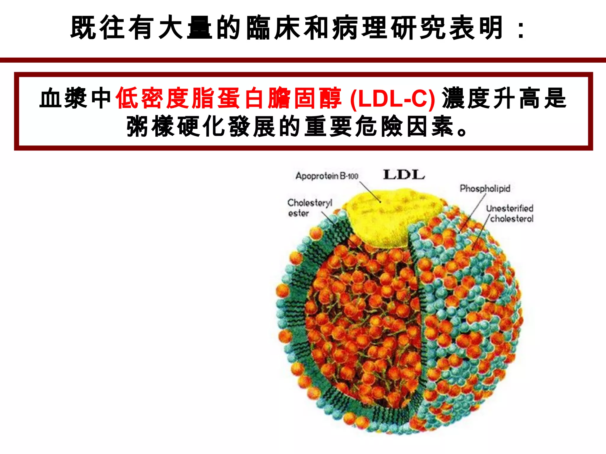 Three-Hypers Series：Hyperlipidemia – 07 Small, dense LDL - an important ...