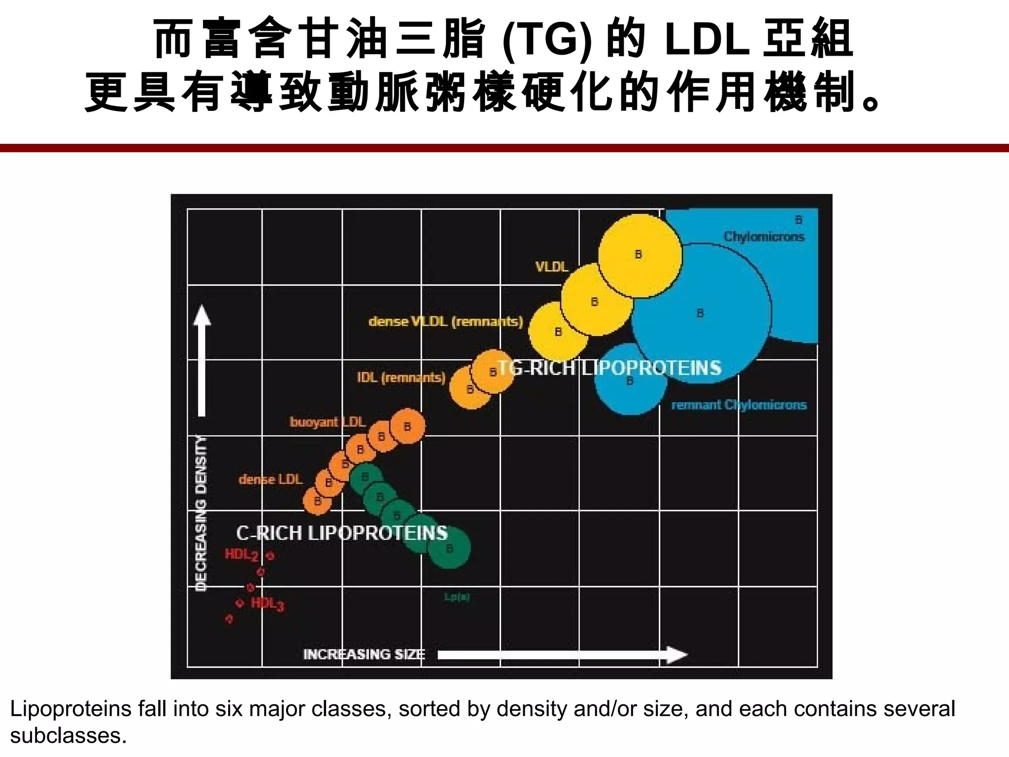 Three-Hypers Series：Hyperlipidemia – 07 Small, dense LDL - an important ...