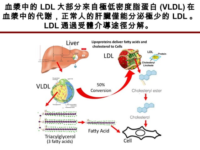 Three-Hypers Series：Hyperlipidemia – 07 Small, dense LDL - an important ...