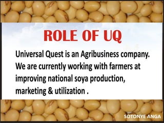 Soya production in nigeria by sotonye anga | PPT