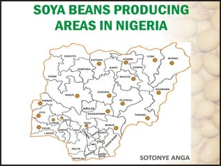 Soya production in nigeria by sotonye anga | PPT