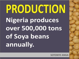 Soya production in nigeria by sotonye anga | PPT