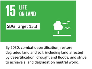 The Scientific Conceptual Framework for Land Degradation Neutrality | PDF