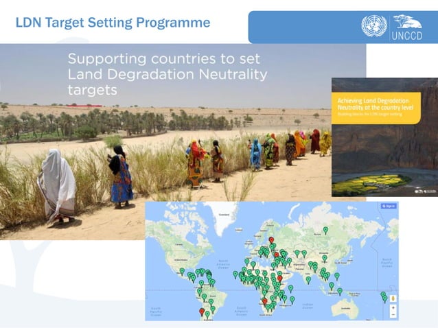 The Scientific Conceptual Framework for Land Degradation Neutrality | PDF
