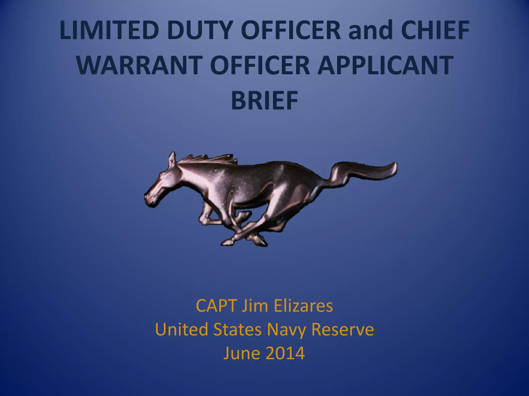 LDO CWO Application Brief FY16 | PPT