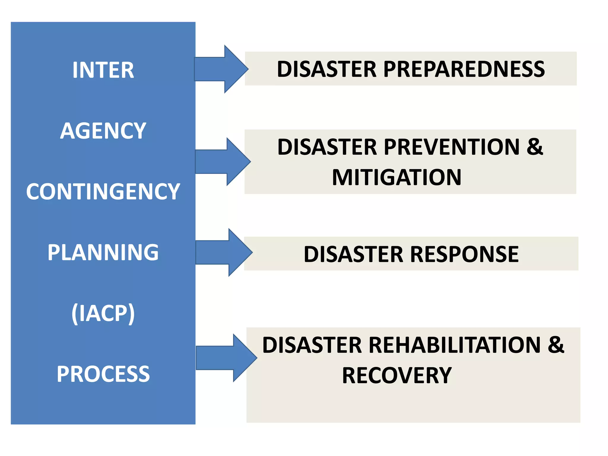 Proposed Local Disaster Risk Reduction Management Planning Process | PPTX