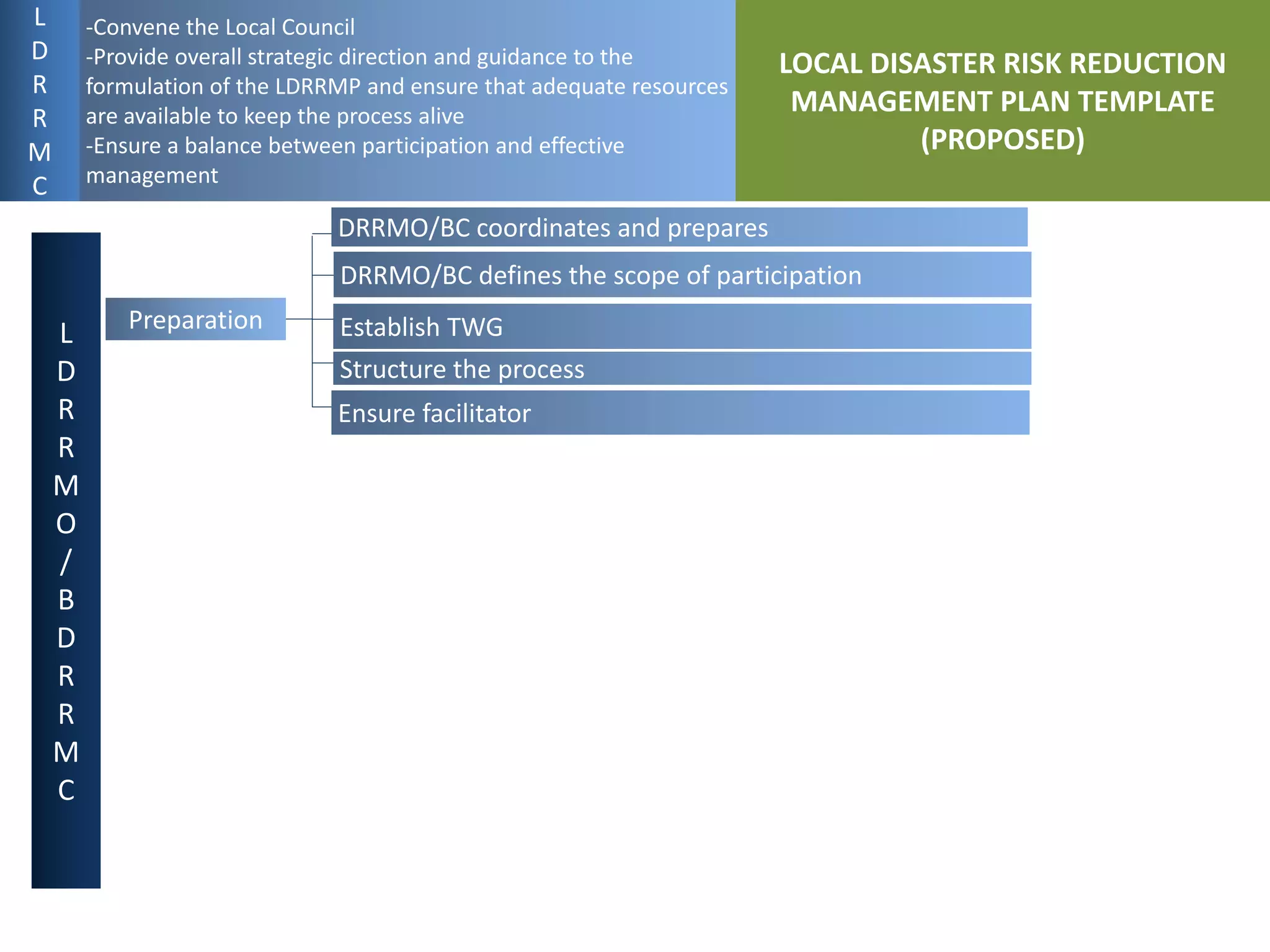 Proposed Local Disaster Risk Reduction Management Planning Process | PPTX